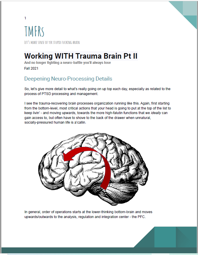 Blog/Visuals for Working WITH Trauma Brain Pt II - Traumatized ...